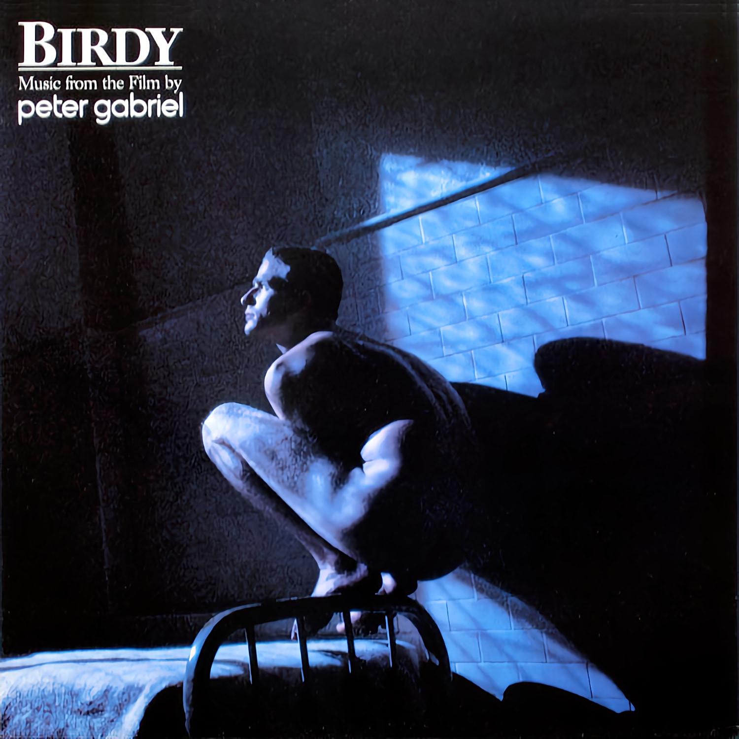 Peter Gabriel - Birdy - ART ALBUM