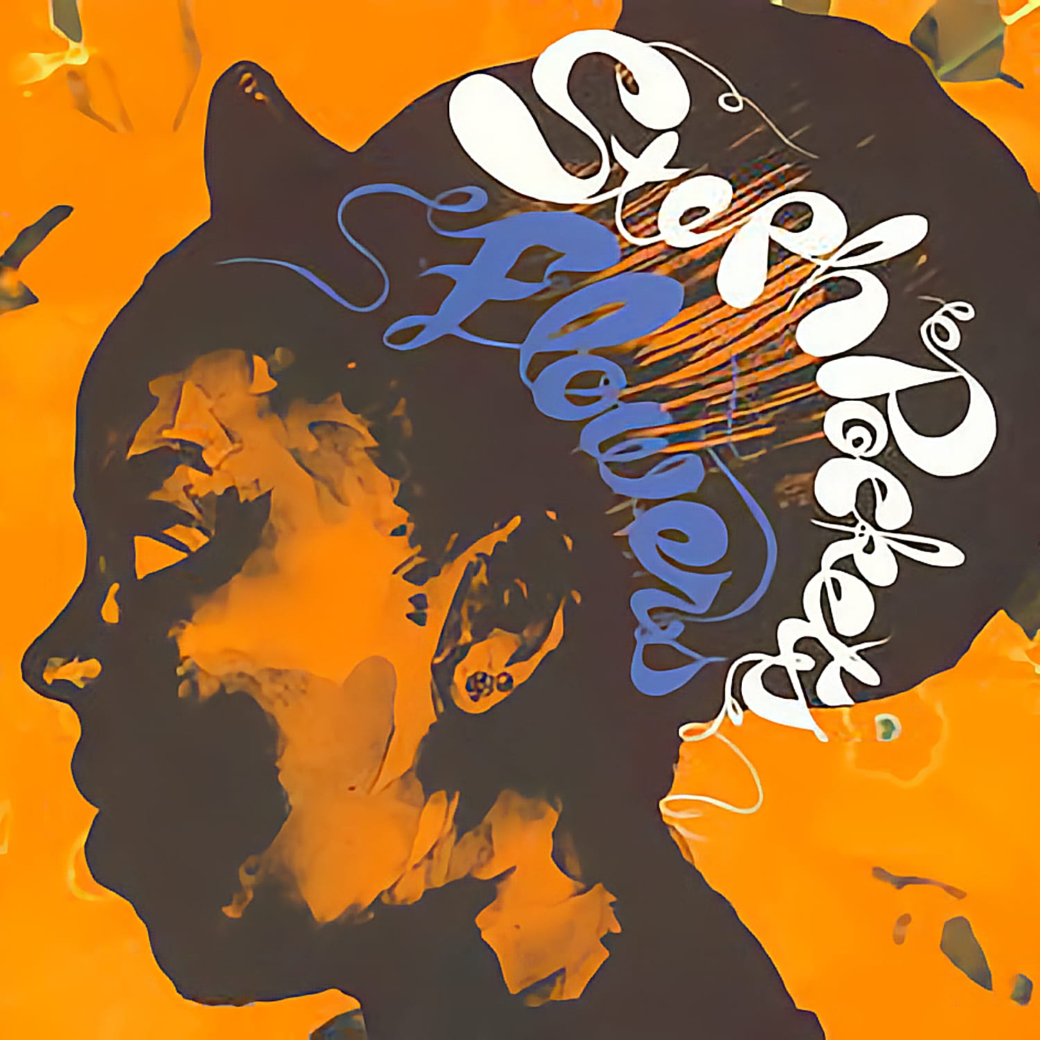 Steph Pockets - Flowers - ART ALBUM